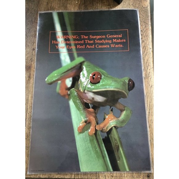 Art | Vintage Laminated Poster Green Frog Tree Frog Surgeon General ...